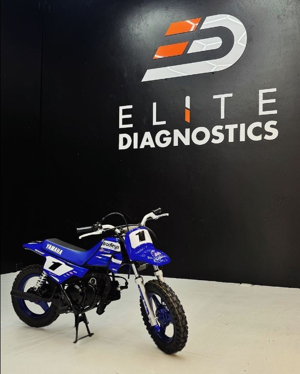 Kapiti’s Elite Diagnostics in Christmas spirit – KC News – News from the Kāpiti Coast