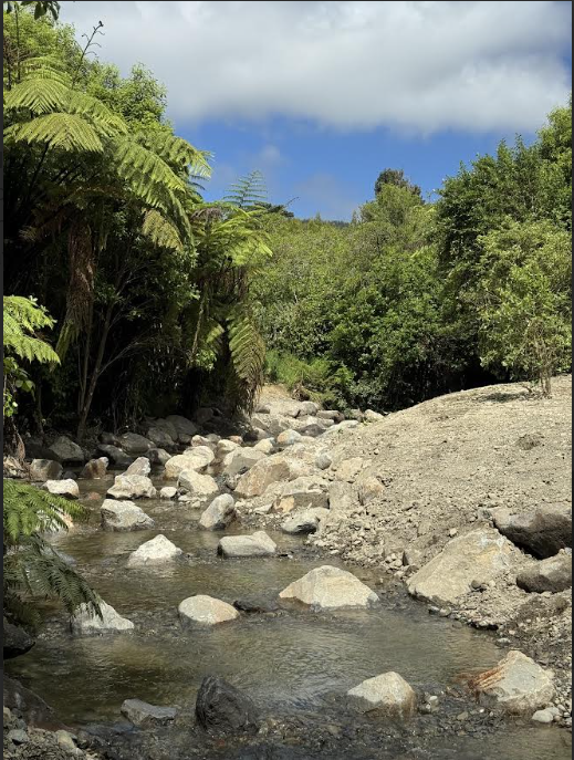 Kapiti ramping up fish passage for threatened species – KC News – News ...